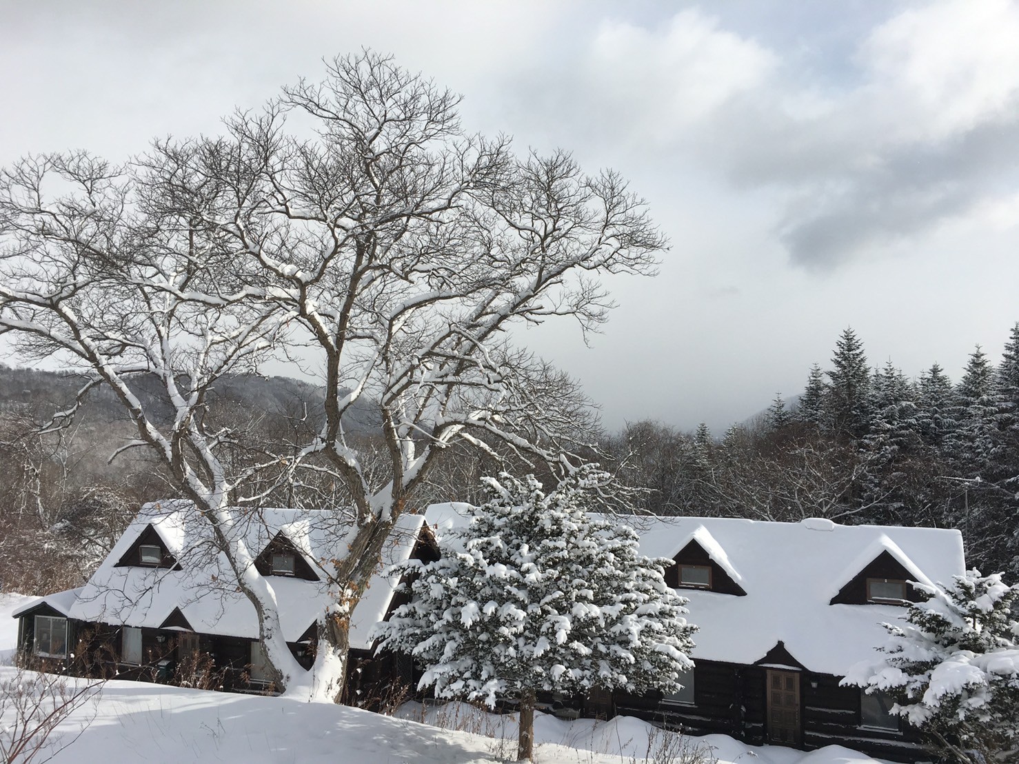 nuchi | 洞爺湖を望む森小屋