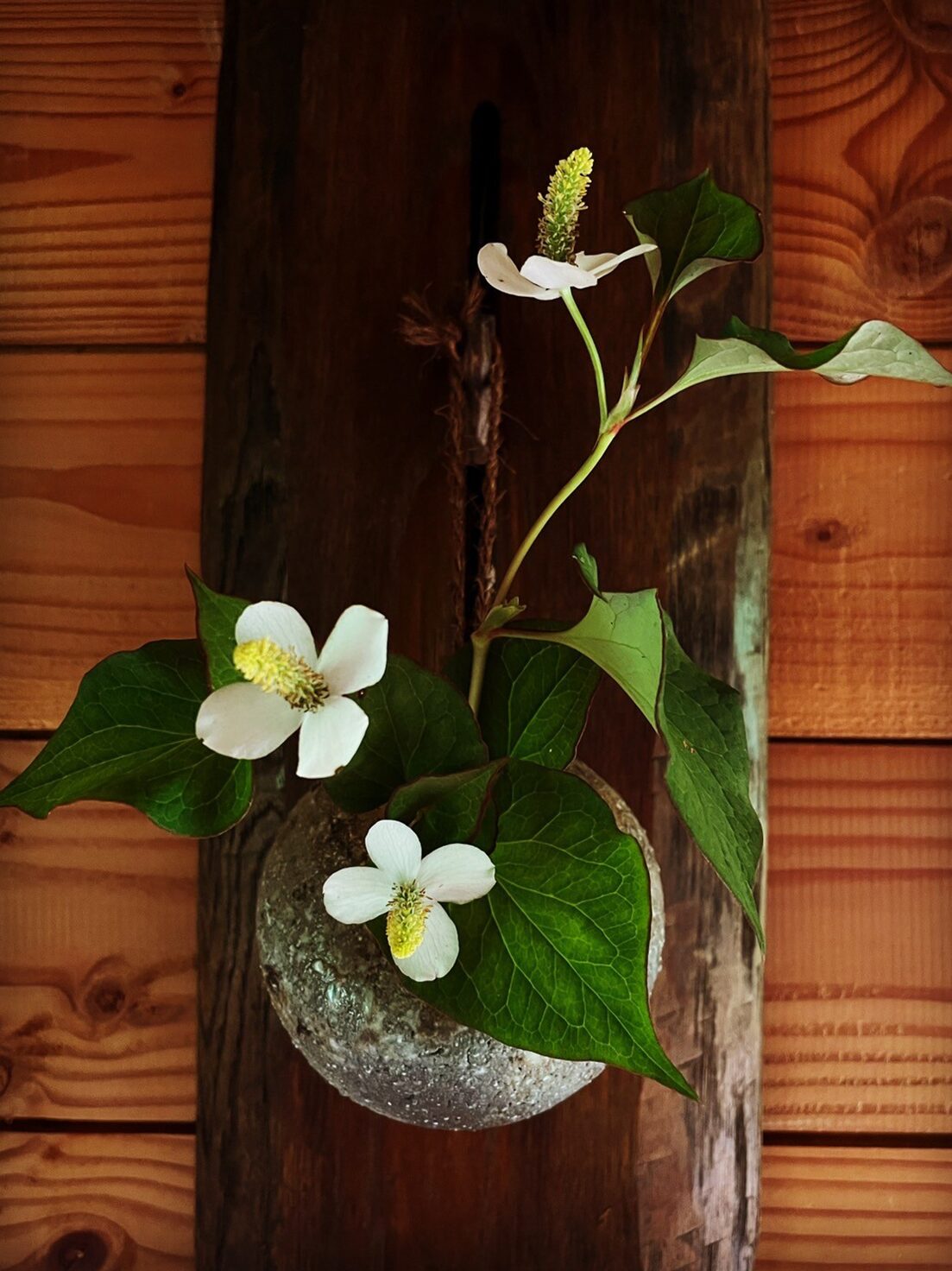 nuchi ｜ 洞爺湖を望む森小屋 | 宿泊、シェアハウス、リトリート、カフェ経営｜北海道移住は洞爺湖から