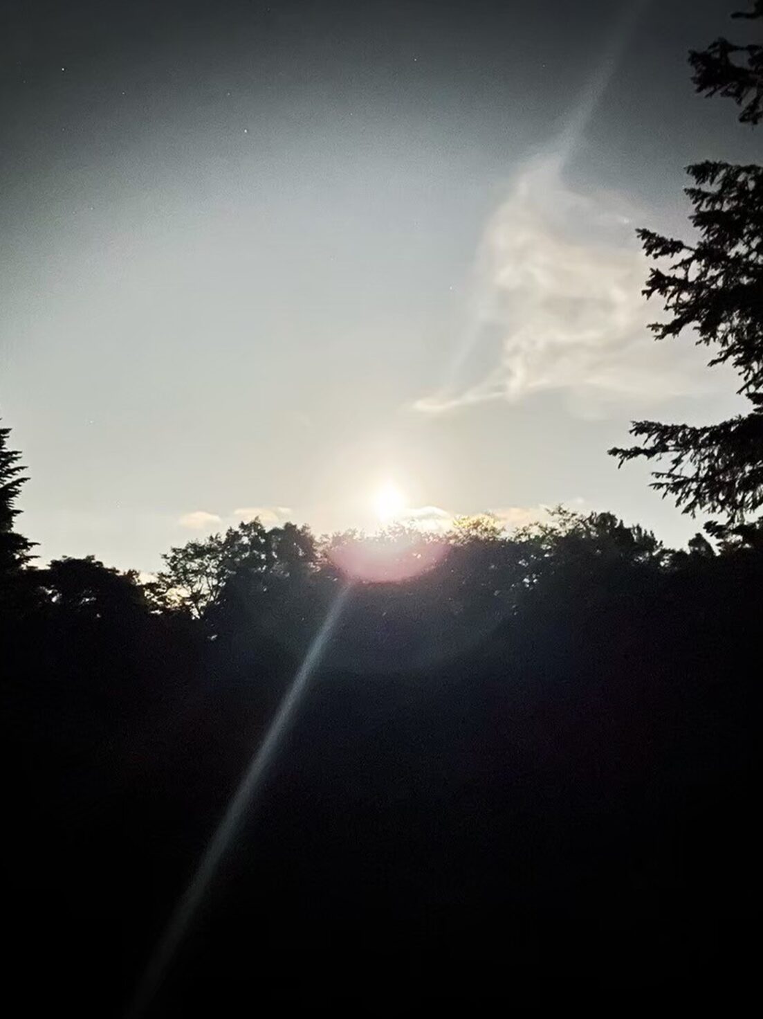 nuchi ｜ 洞爺湖を望む森小屋 | 宿泊、シェアハウス、リトリート、カフェ経営｜北海道移住は洞爺湖から