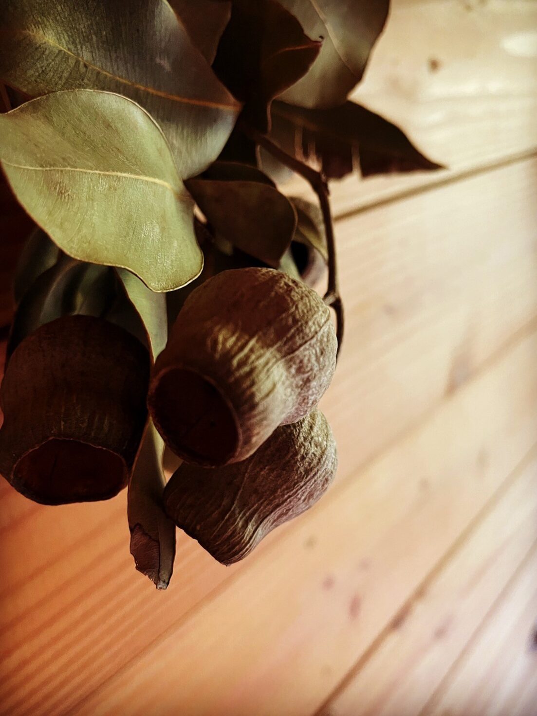 nuchi ｜ 洞爺湖を望む森小屋 | 宿泊、シェアハウス、リトリート、カフェ経営｜北海道移住は洞爺湖から